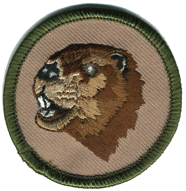 Eagle Gifts Galore/Wild Beast Animal Patches/Wild Animal Patches/ 2 ...
