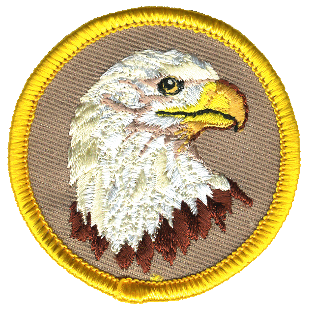Eagle Gifts Galore/Embroidered Eagle Patches/Wild Animal Patches/ 2 ...