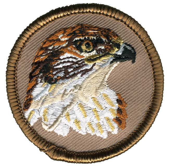 Eagle Gifts Galore/Wild Beast Animal Patches/Wild Animal Patches/ 2 ...